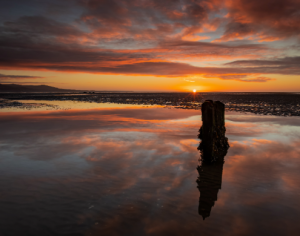 Homeless? In Need of Help? - Dublin Simon Community